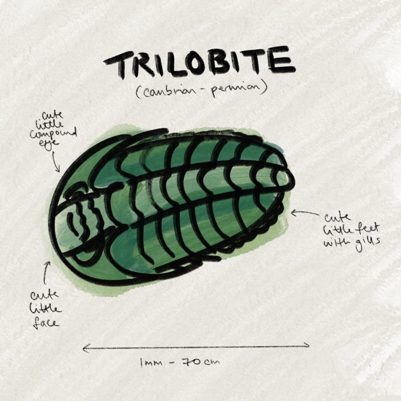 Trilobite, Paleozoic Sea Creature Sticker, Die Cut Vinyl, Journaling ...