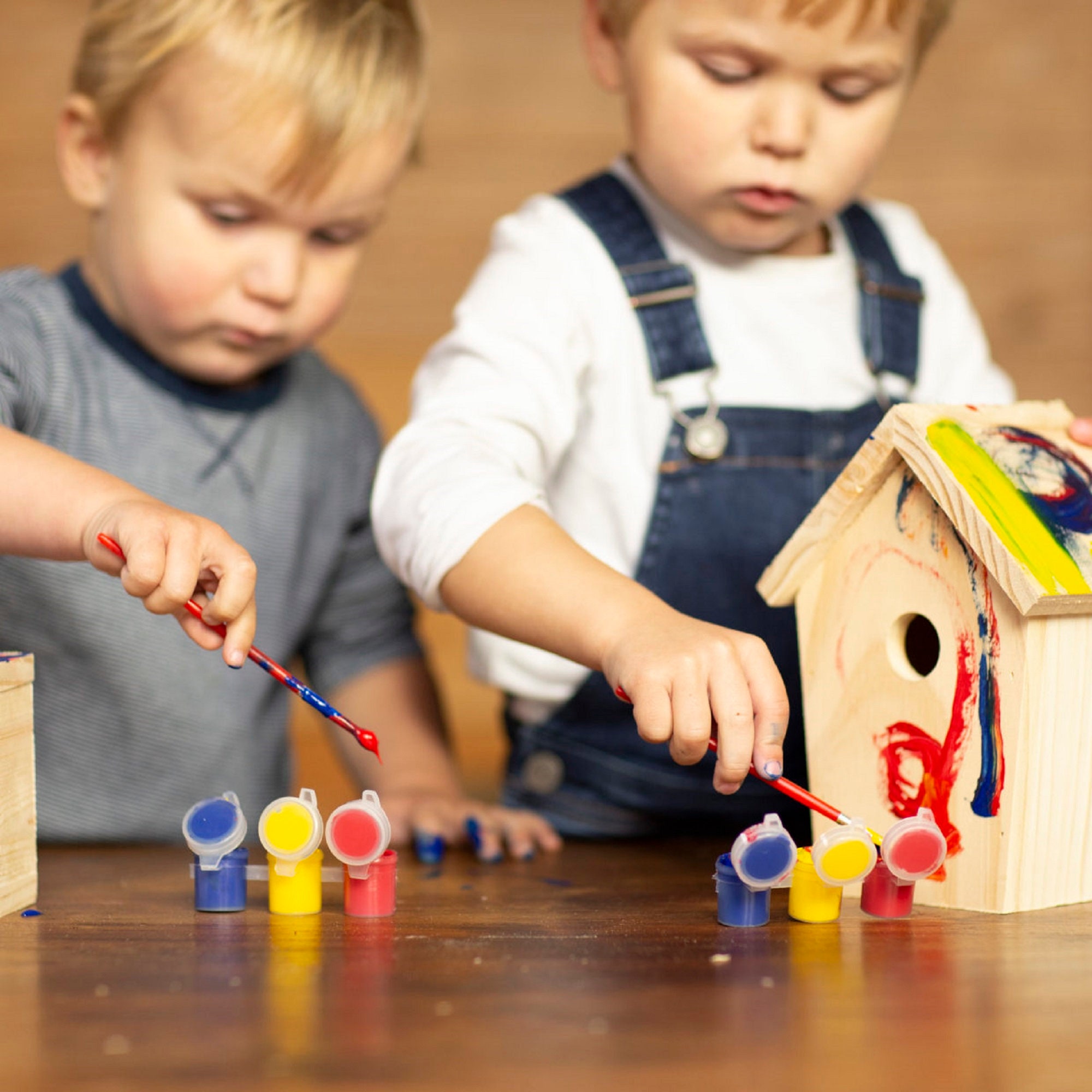DIY Bird Nesting Box With Paint - Etsy UK