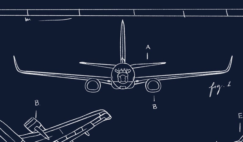 Customizable United Boeing 737 Blueprint Illustration - Etsy