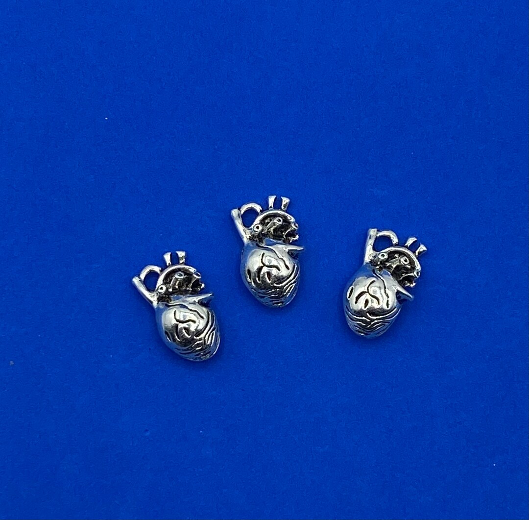 Silver Anatomical 3D Human Heart Charm Pendants - Set of Three - Etsy
