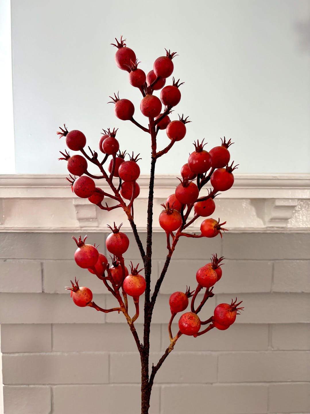 Artificial Orange Berry Stem, Fall Berry Stem, Home Decor, Quality ...