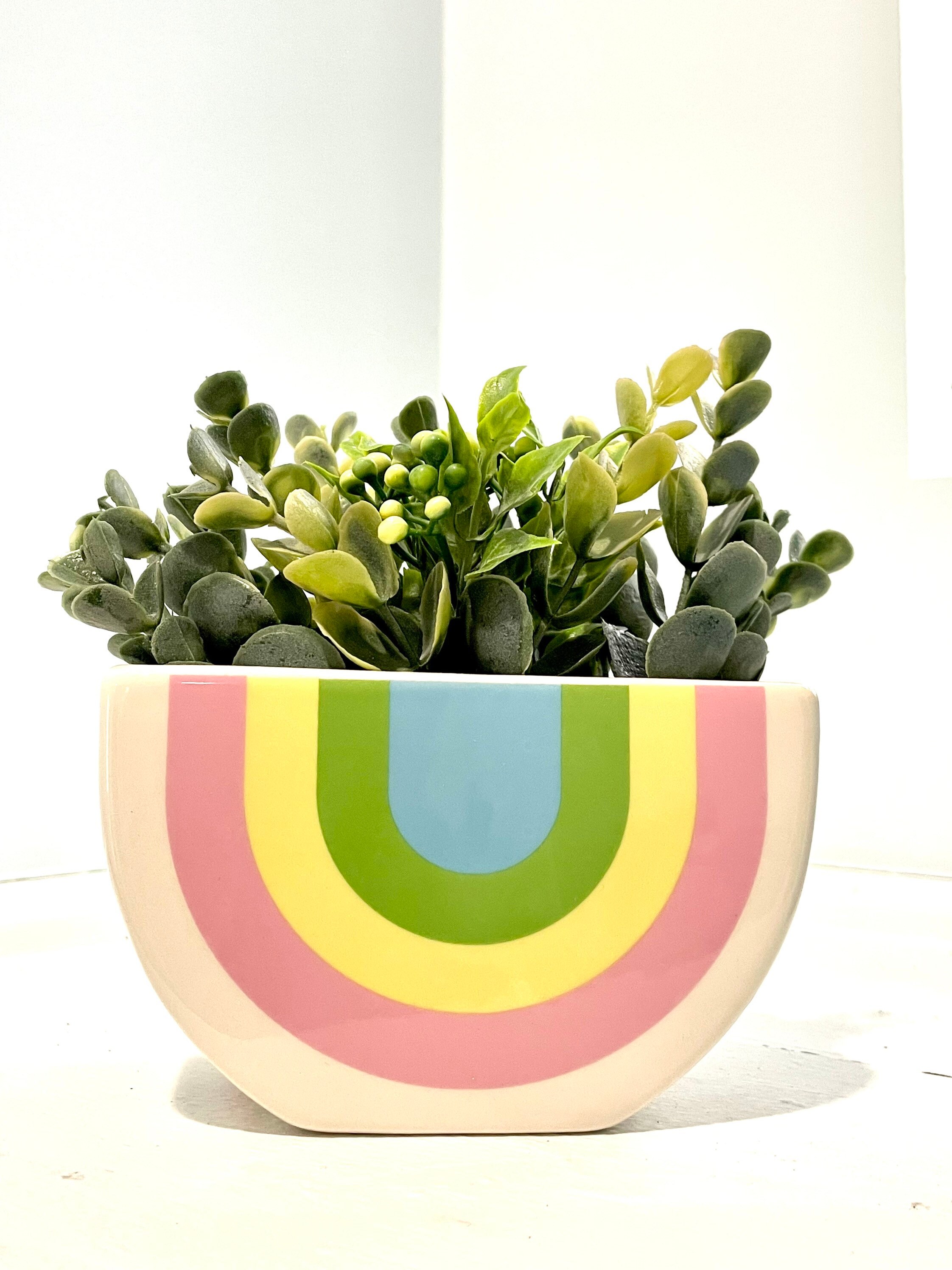 Rainbow Ceramic Planter Rainbow Ceramic Caddie Rainbow | Etsy