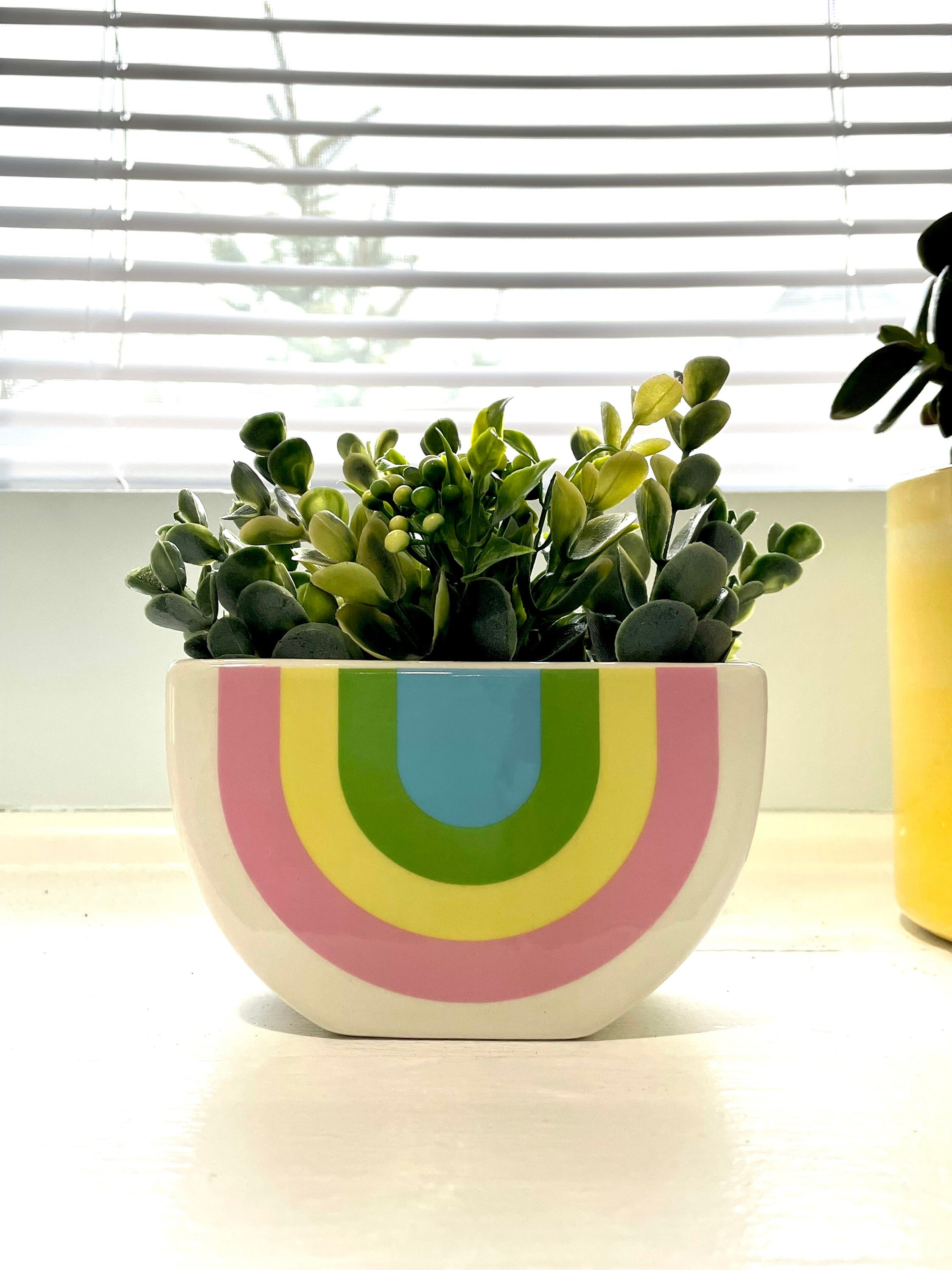Rainbow Ceramic Planter Rainbow Ceramic Caddie Rainbow | Etsy