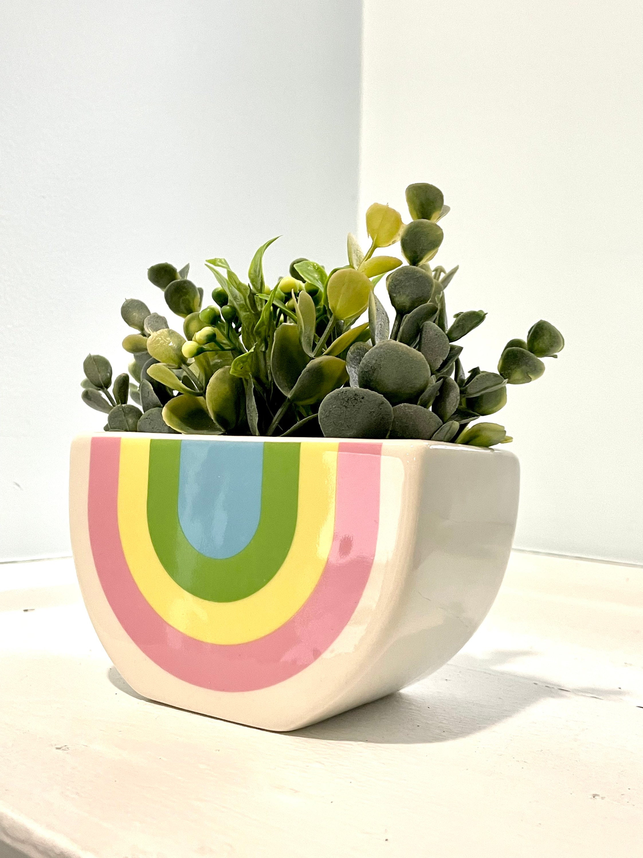 Rainbow Ceramic Planter Rainbow Ceramic Caddie Rainbow | Etsy