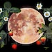 Strawberry Moon- Art Print - Etsy