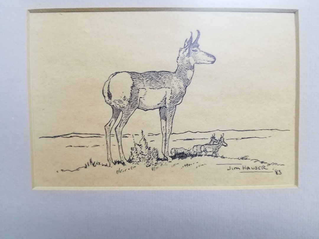 Jim Hauser Original Pen Drawing Titled sagebrush Sentinel - Etsy
