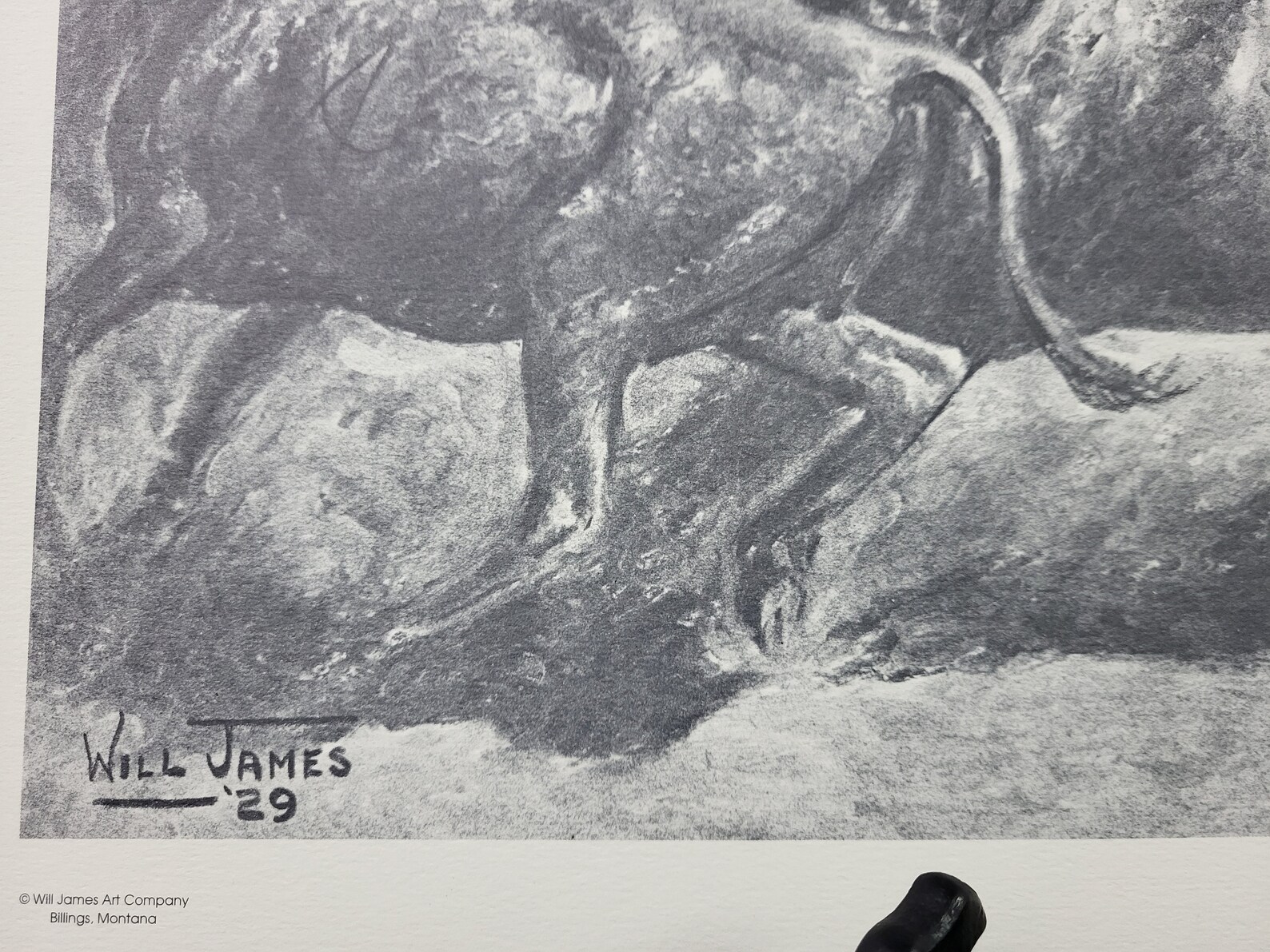 Will James Print roping a Steer - Etsy