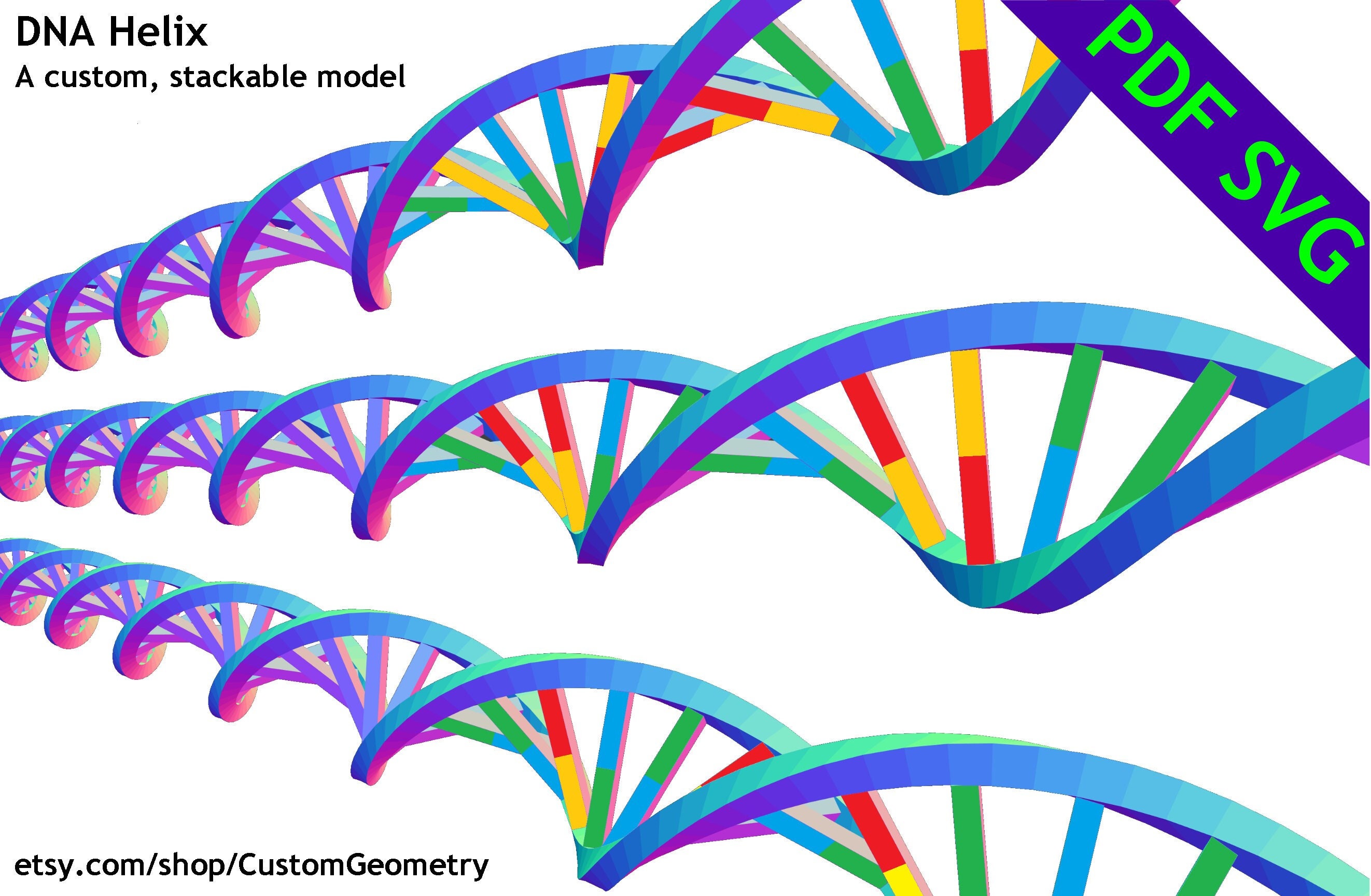DNA Double Helix Model- PDF SVG Diy Papercraft Pattern for a Modular ...