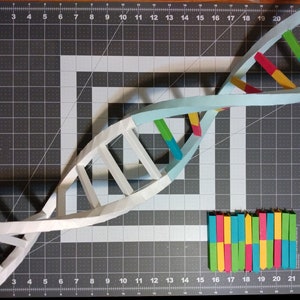 DNA Double Helix Model- PDF SVG Diy Papercraft Pattern for a Modular ...