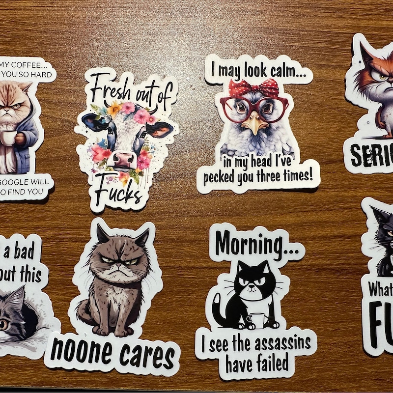 Stickers for Adults - Etsy