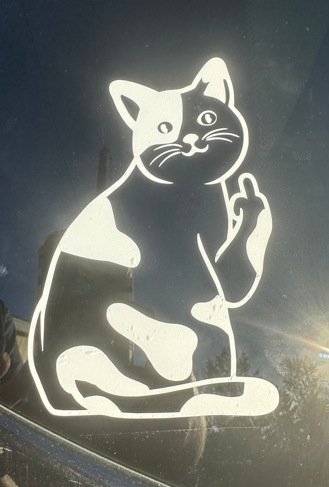 Middle Finger Cat Vinyl Decal Sticker | for Cars, Trucks, Suvs, Laptop ...