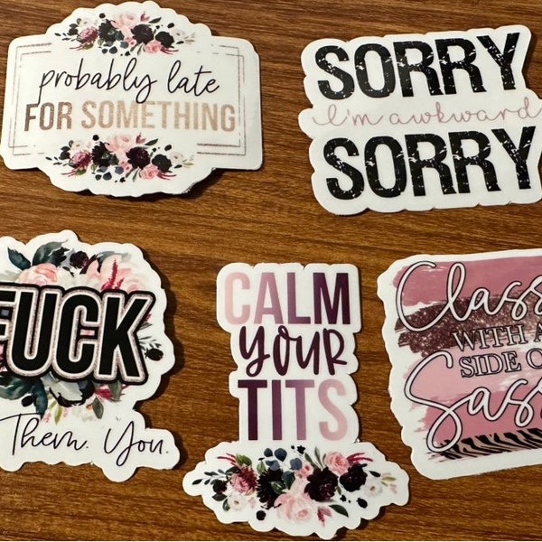 Adult Humor Stickers - Etsy