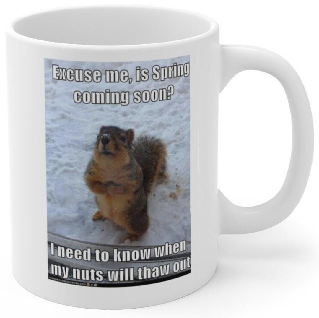 Funny mug squirrel gift coffee tea cup mug gift squirrel spring gift ...