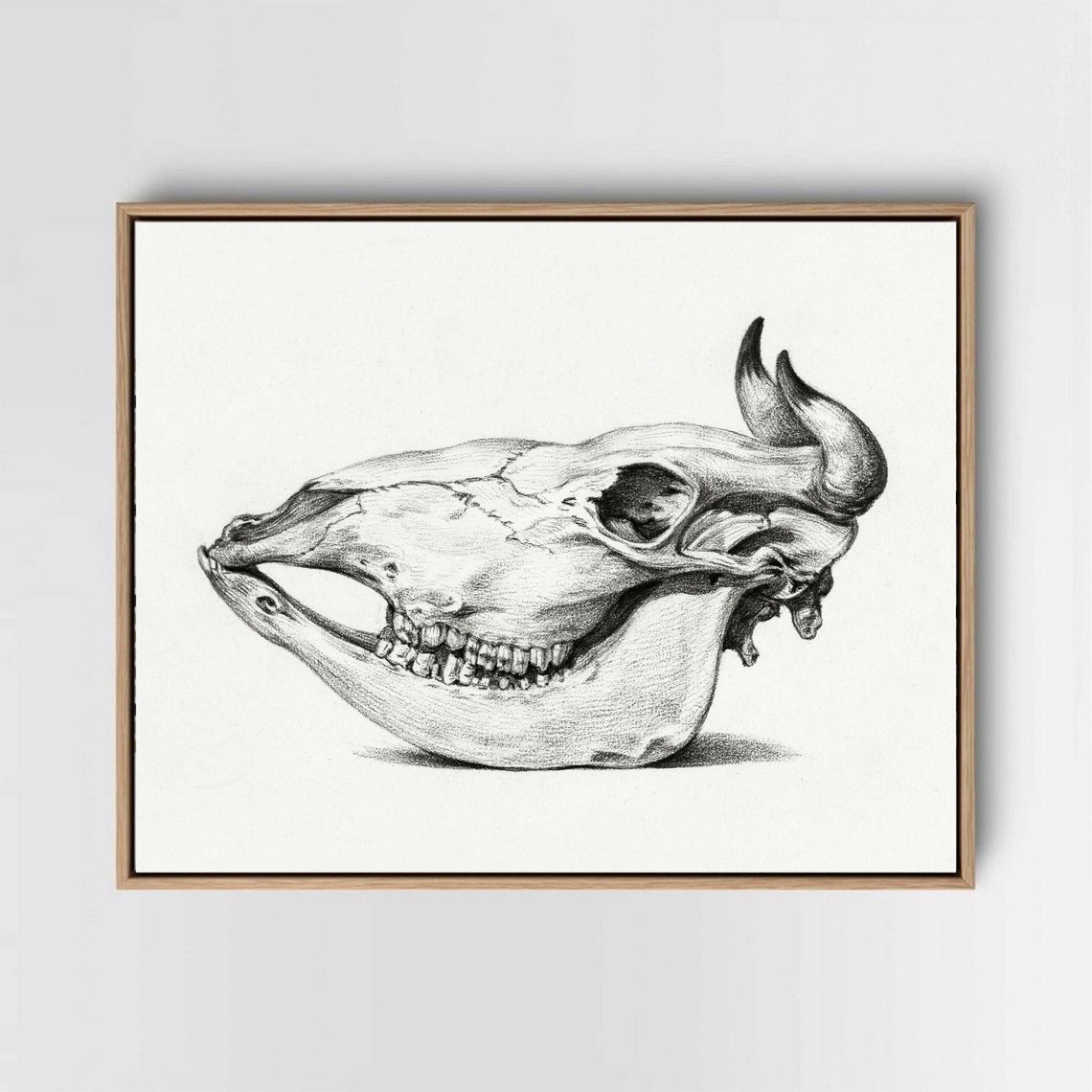 Cow Skull Print / Digital Download Print / Boho Western Vintage Vibes ...