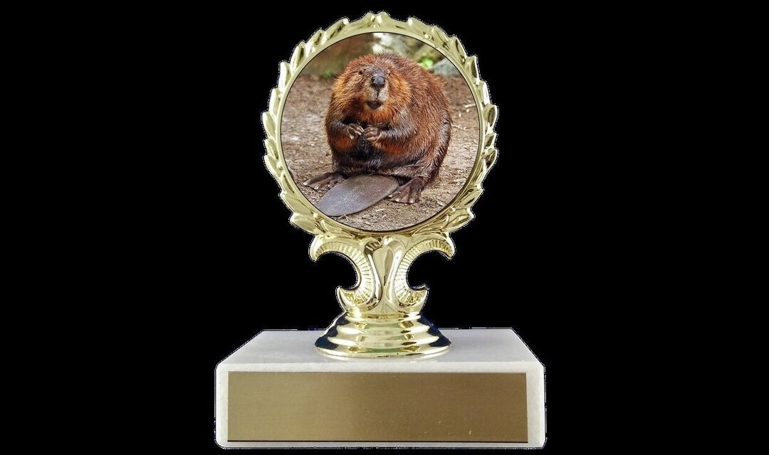 Beaver Logo Trophy - Etsy