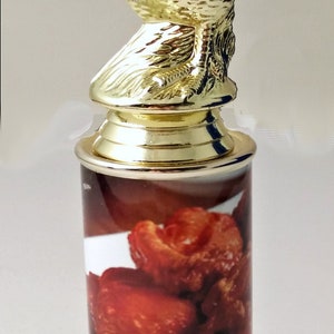 Hot Wing Chicken Custom Column Trophy - Etsy