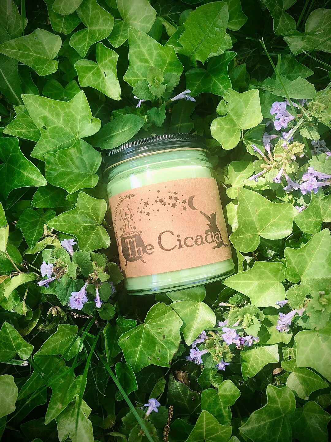 The Cicada Ritual Candle (stormy Weather/aloe/clover) - Transformation ...