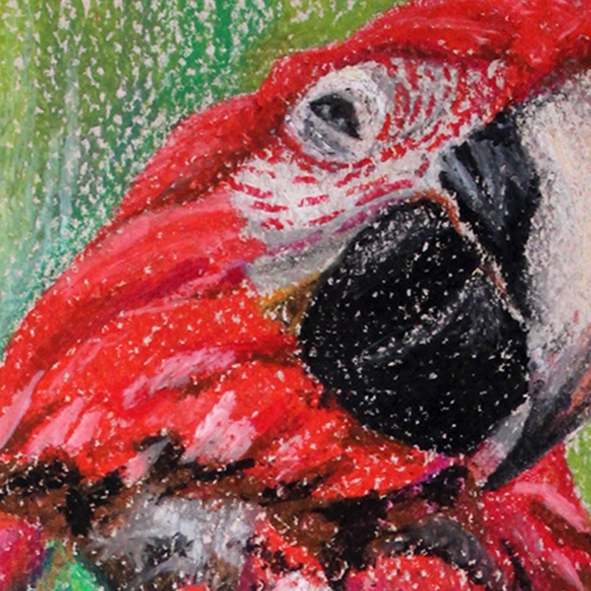 Ara Parrot Oil Pastel Original Drawing: Tropical Bird Portrait (8.1x12 ...