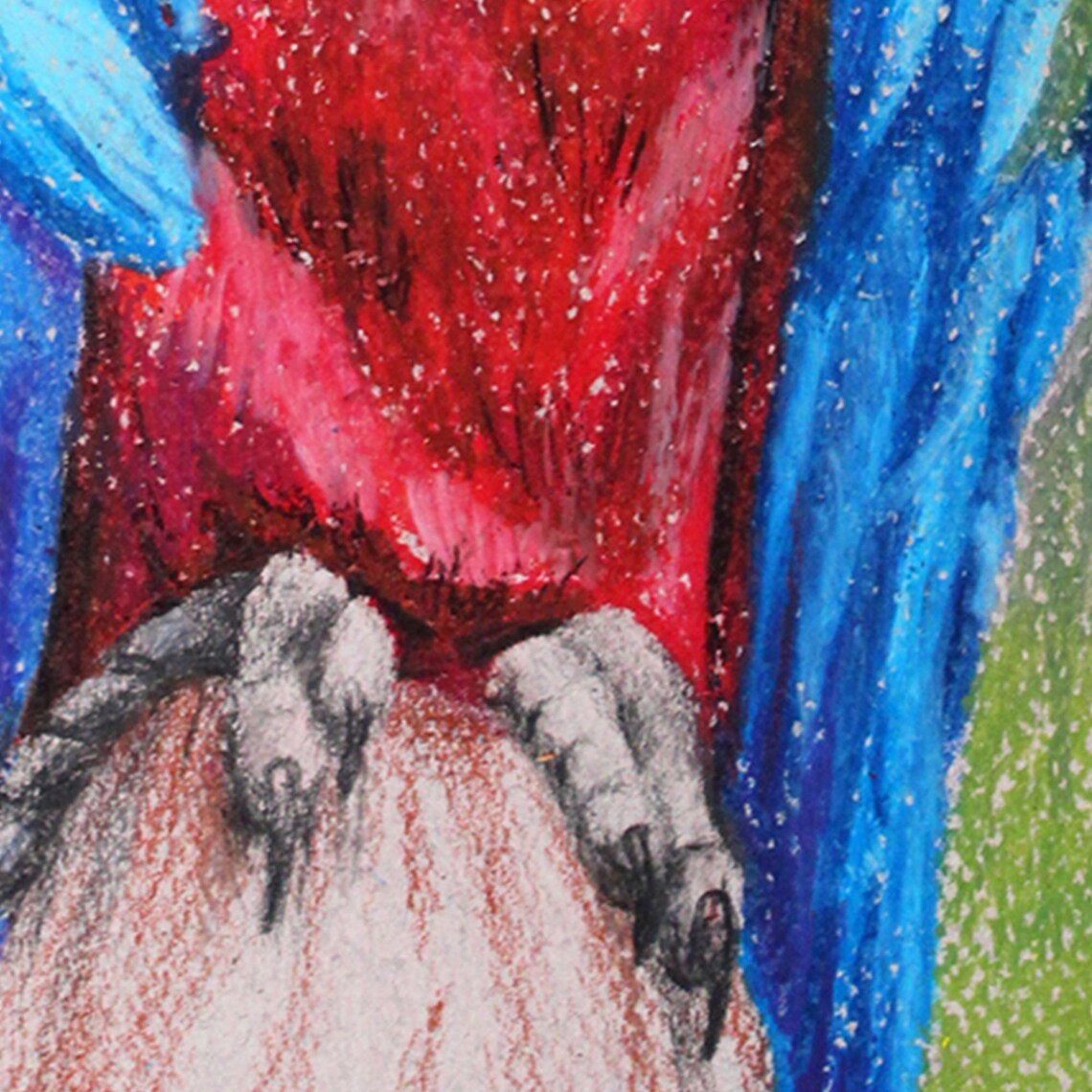Ara Parrot Oil Pastel Original Drawing: Tropical Bird Portrait (8.1x12 ...
