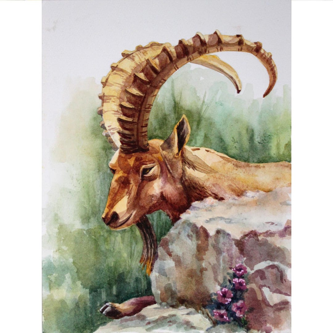 Nubian Ibex Original Watercolor Painting: Mountain Animals, Wildlife ...