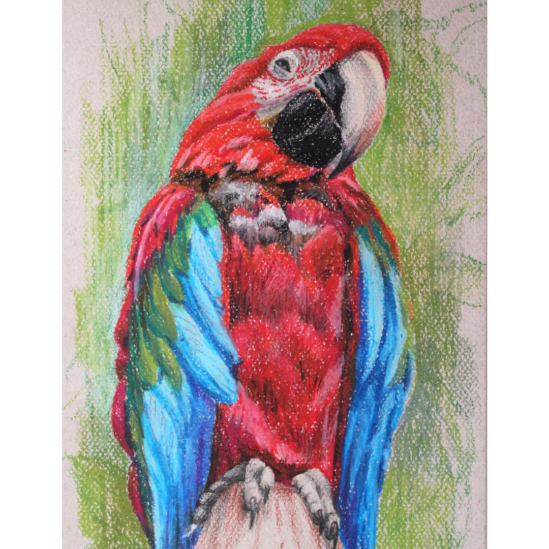Ara Parrot Drawing African Makaw Original Oil Pastel Painting Tropical ...