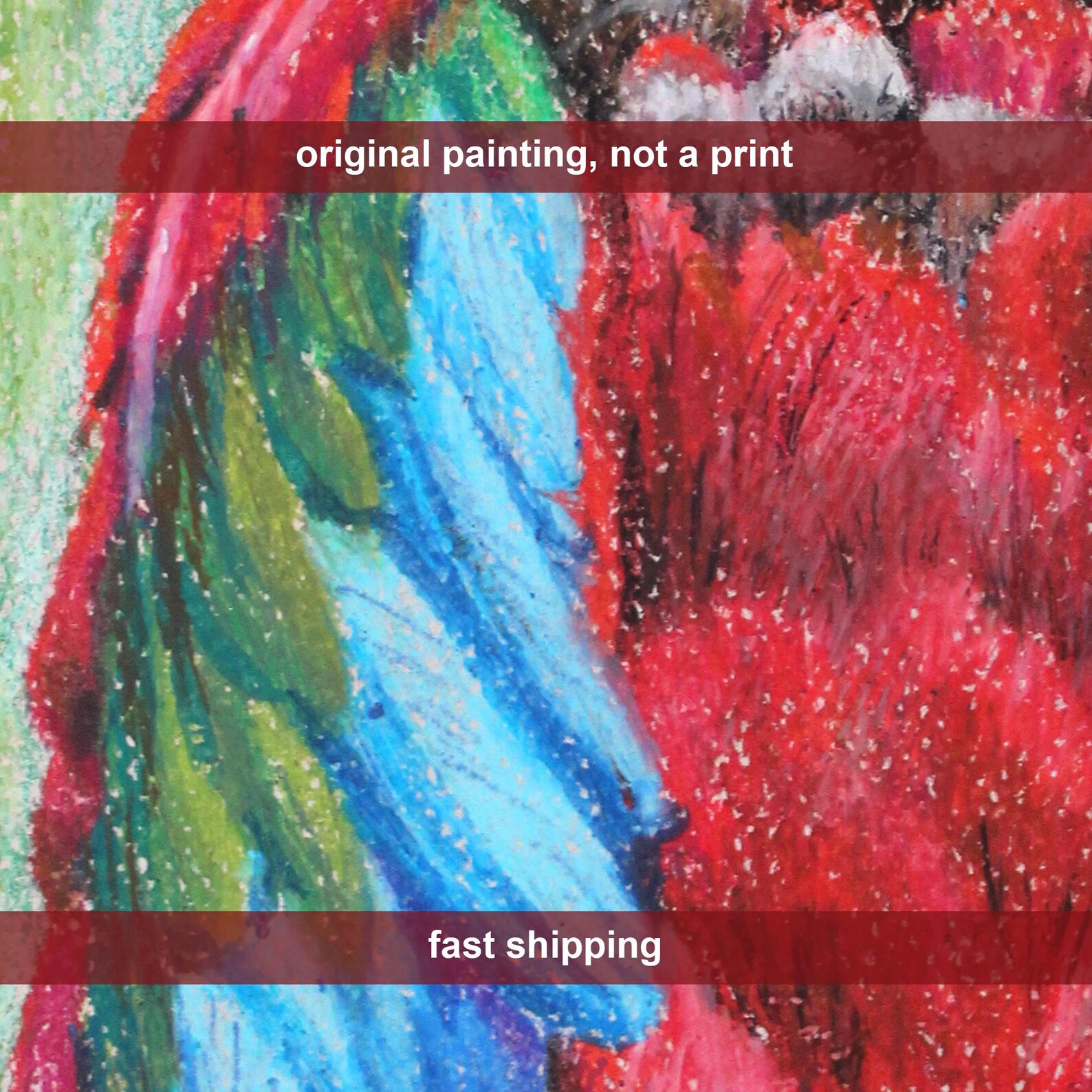 Ara Parrot Oil Pastel Original Drawing: Tropical Bird Portrait (8.1x12 ...