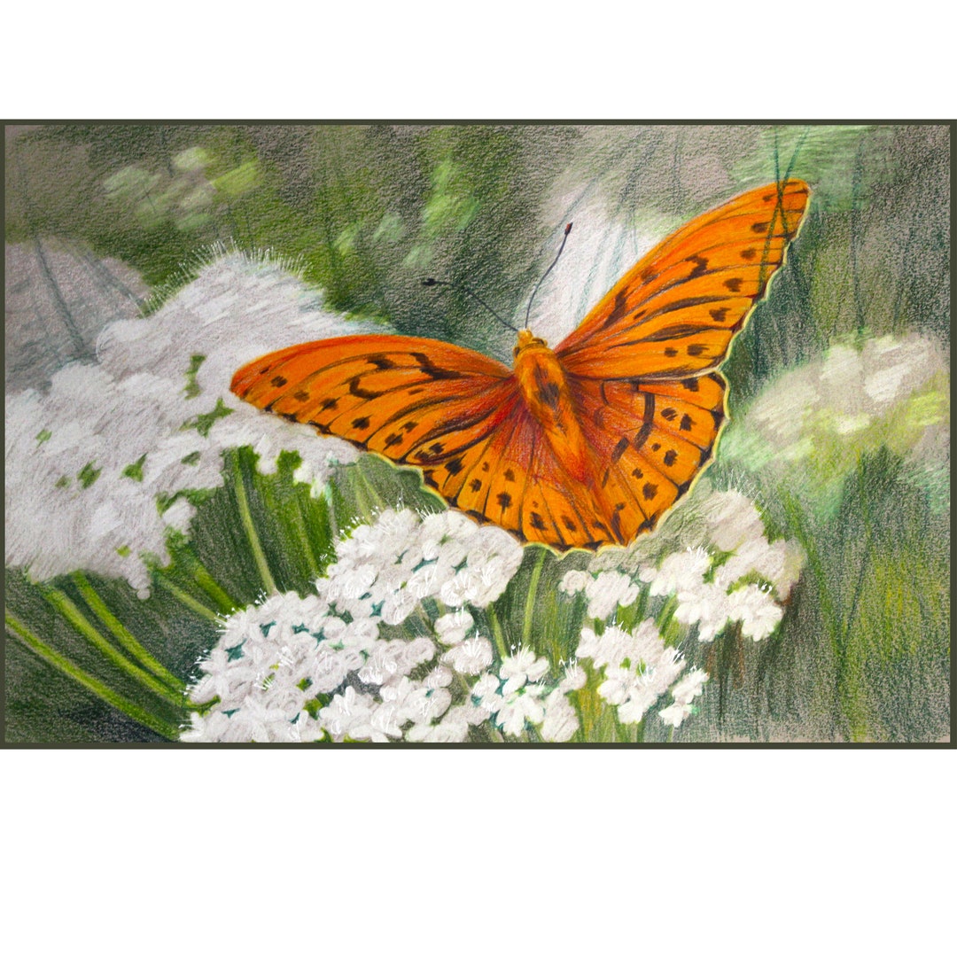 Butterfly and Flowers Original Colored Pencil Drawing: Summer Landscape ...