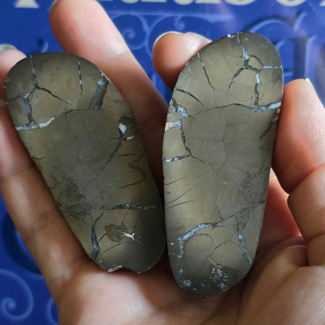 Michigan Tumbled, Polished & Cut Lightning Stone Pair - Etsy