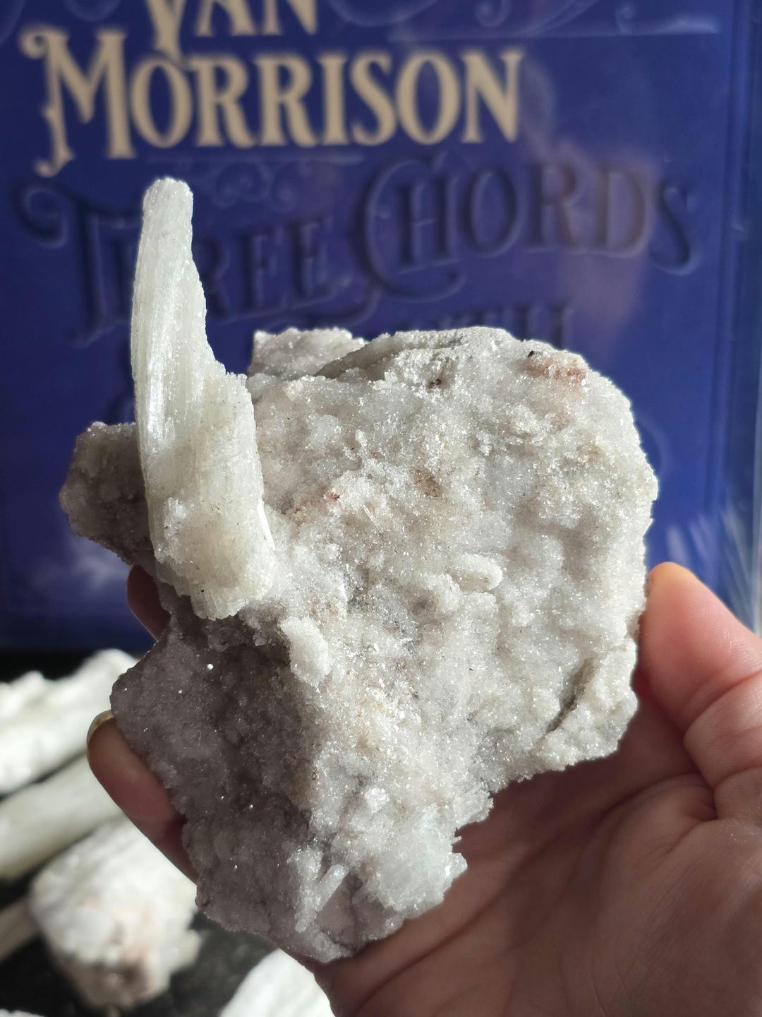 Ram's Horn Selenite Specimen: UV Reactive Crystal - Etsy