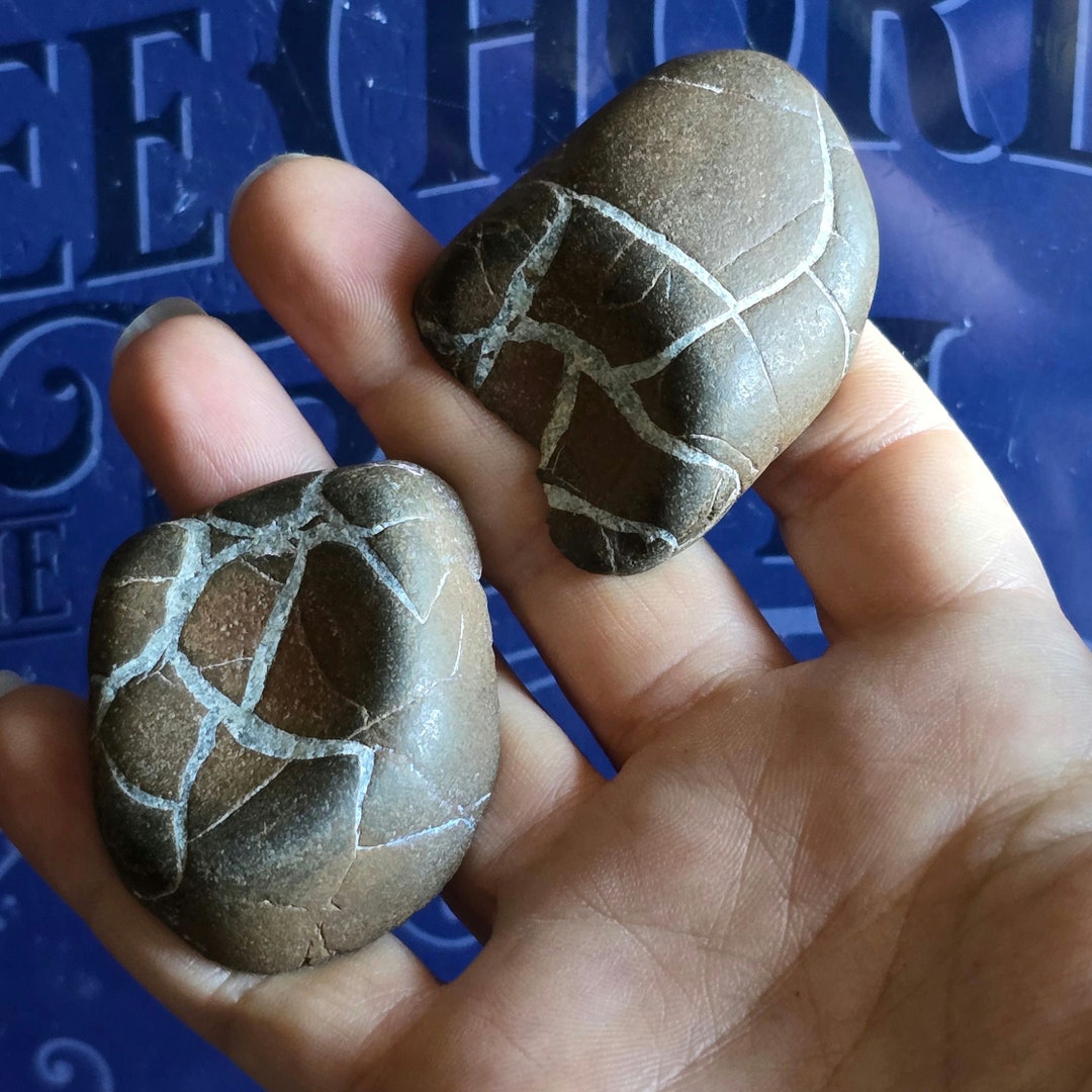 Michigan Tumbled, Polished & Cut Lightning Stone Pair - Etsy