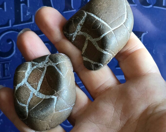 Michigan Tumbled, Polished & Cut Lightning Stone Pair - Etsy