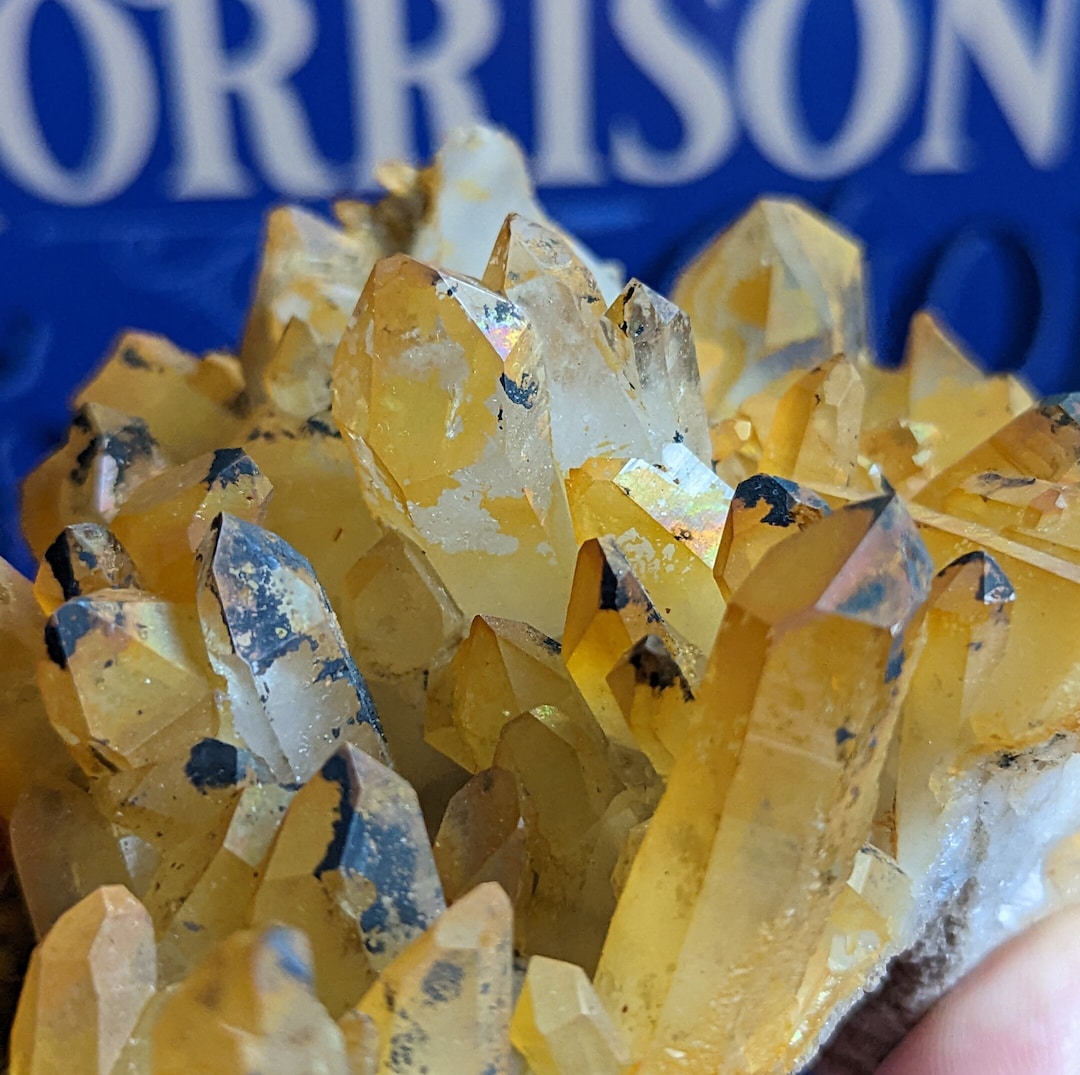 RARE Iridescent Golden Healer Quartz Crystal Cluster With Black ...