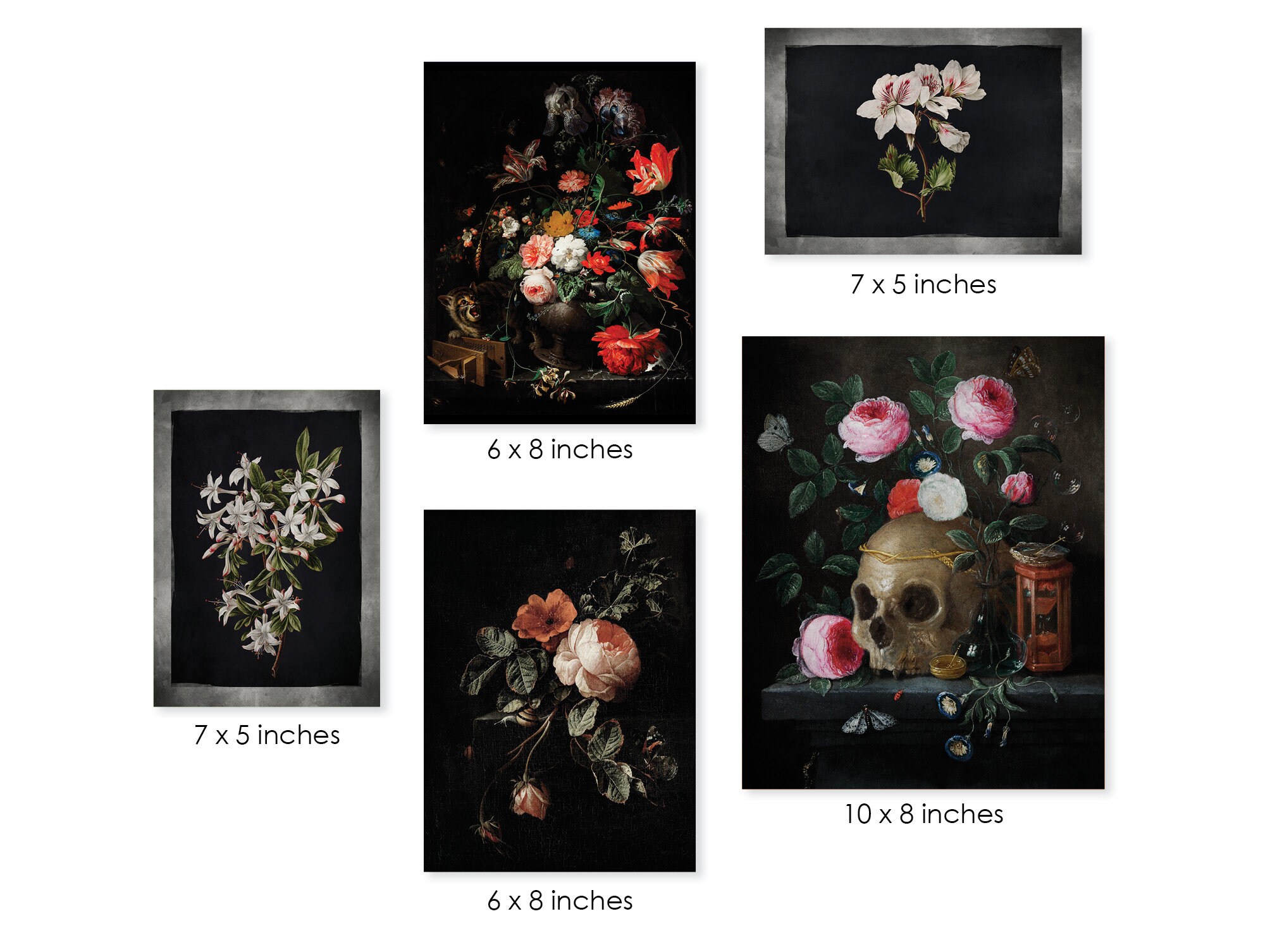 Gothic Floral Print Set of 5 Antique Reproduction Prints. - Etsy