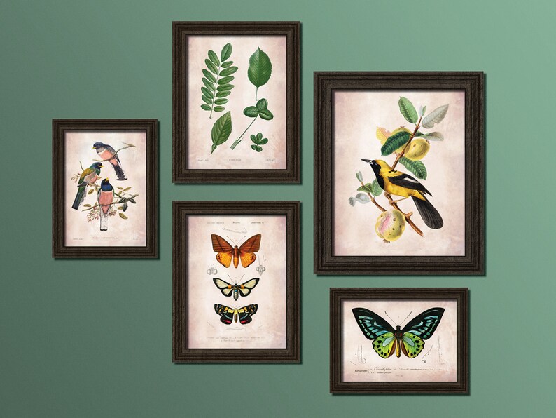 Set of 10 Printable Botanical Prints Vintage Reproduction - Etsy