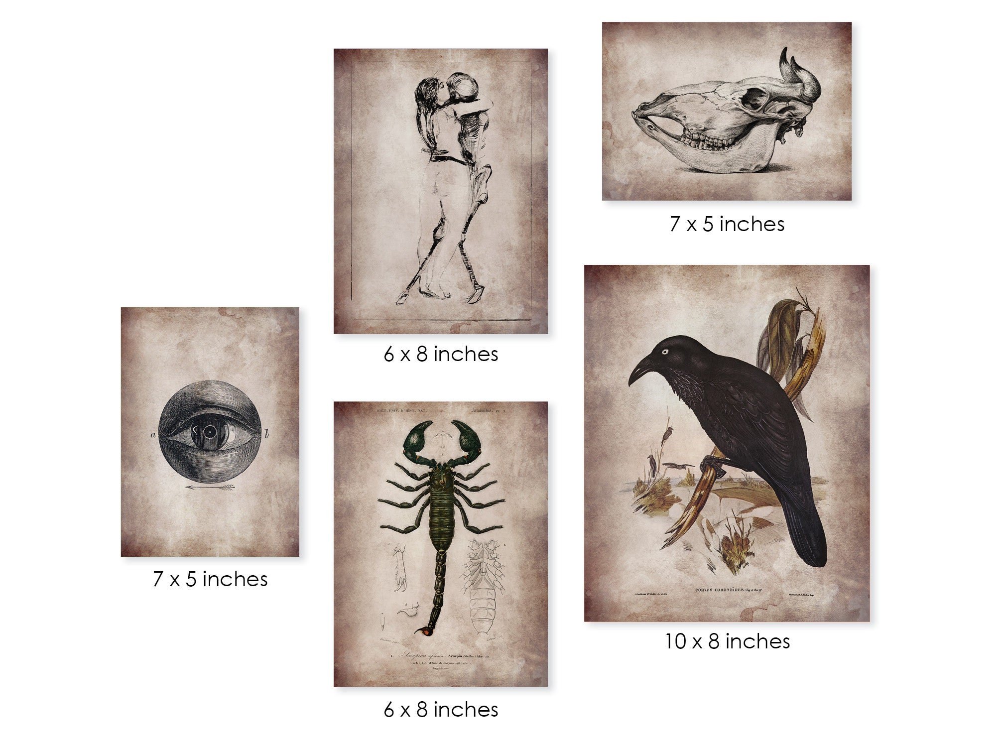 Gothic Print Set of 5 Gothic Antique Reproduction Prints. - Etsy