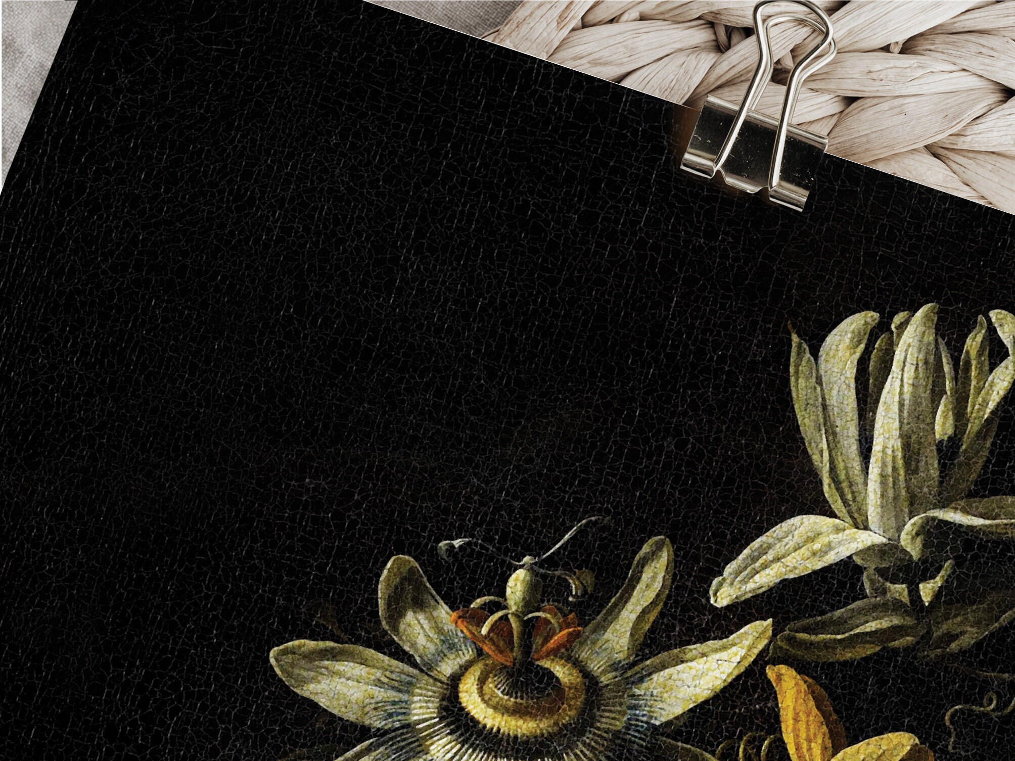 Gothic Floral Print Set of 10 Antique Reproduction Prints. - Etsy