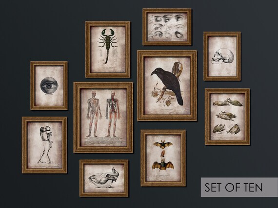 Gothic Print Set of 10 Antique Reproduction Prints. Gothic - Etsy