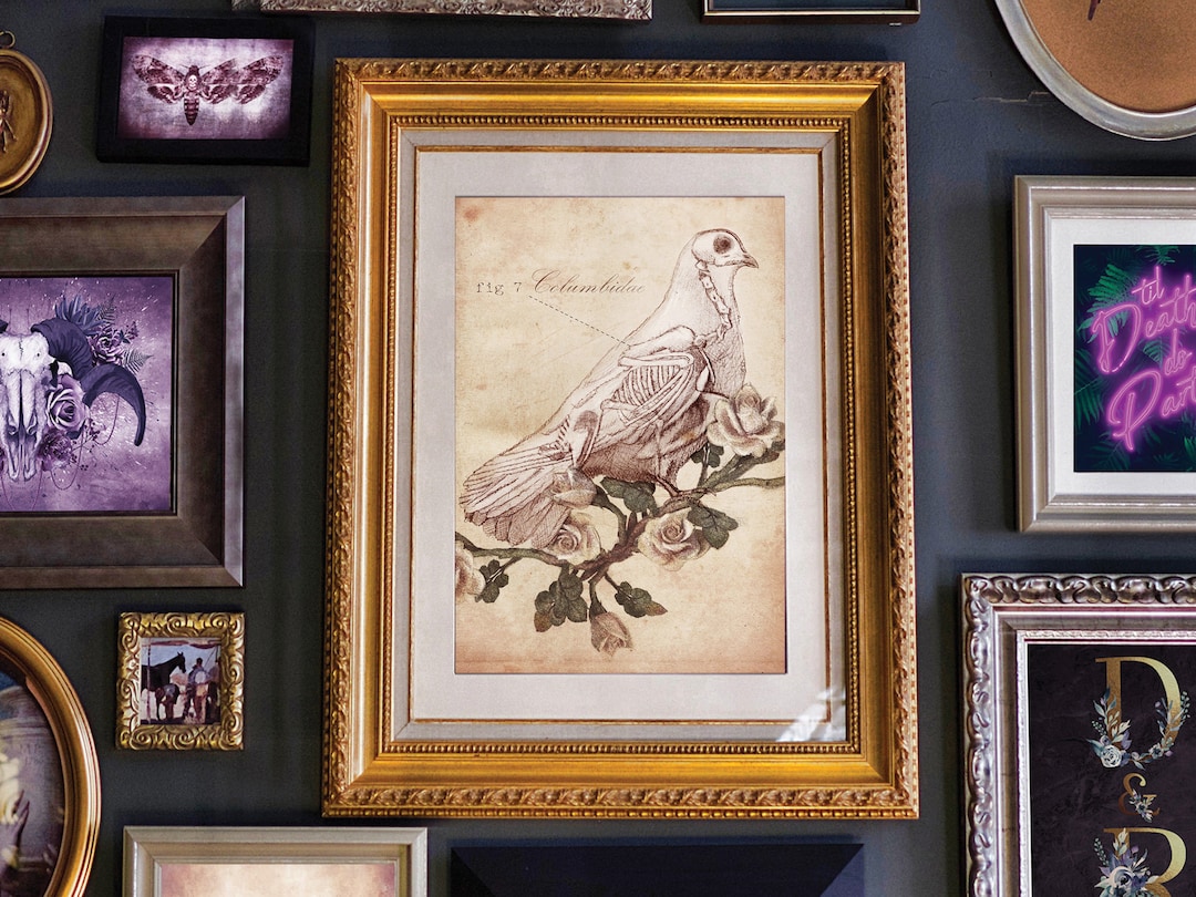 Anatomical Dove Skeleton Print | Gothic Wall Art. Skeleton Diagram ...