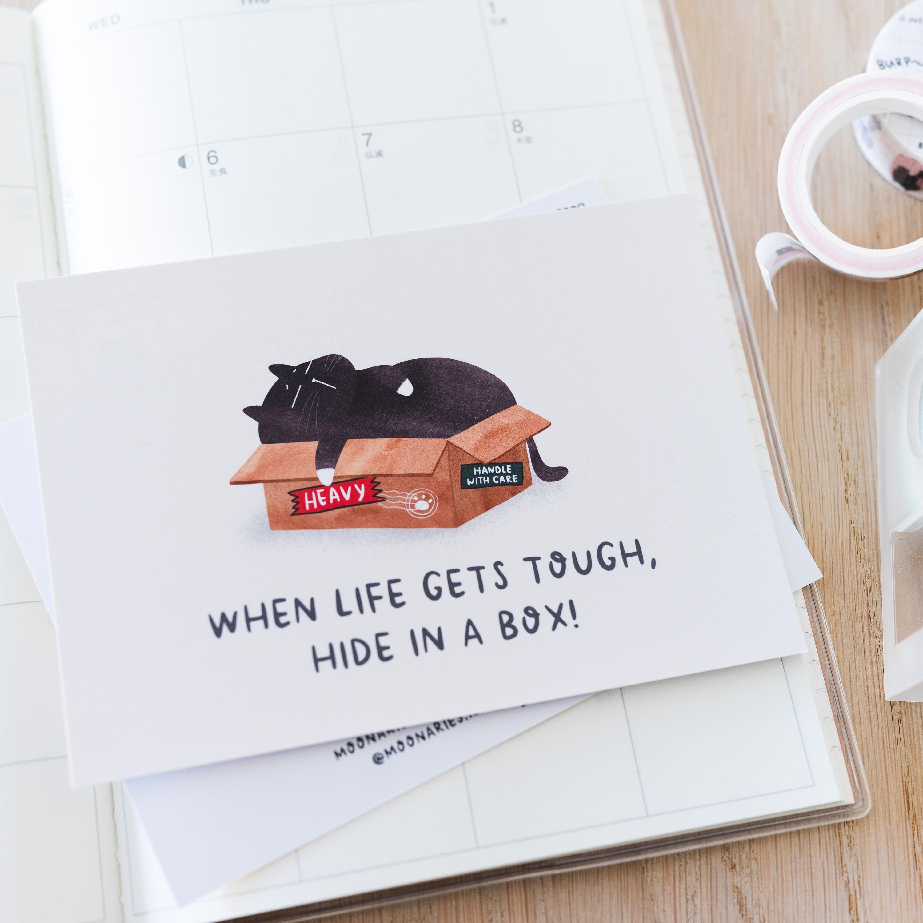 When Life Gets Tough, Hide in A Box Cat Postcard - Etsy