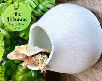3d Printed Gecko Hide - Etsy
