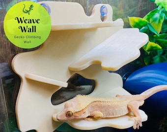 Wave Rider Reptile Climbing Wall Laguna Reptiles - Etsy
