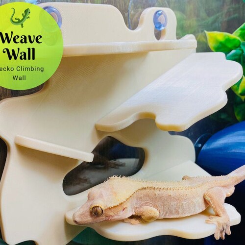 Weave Wall Gecko Climbing Wall Laguna Reptiles | Etsy