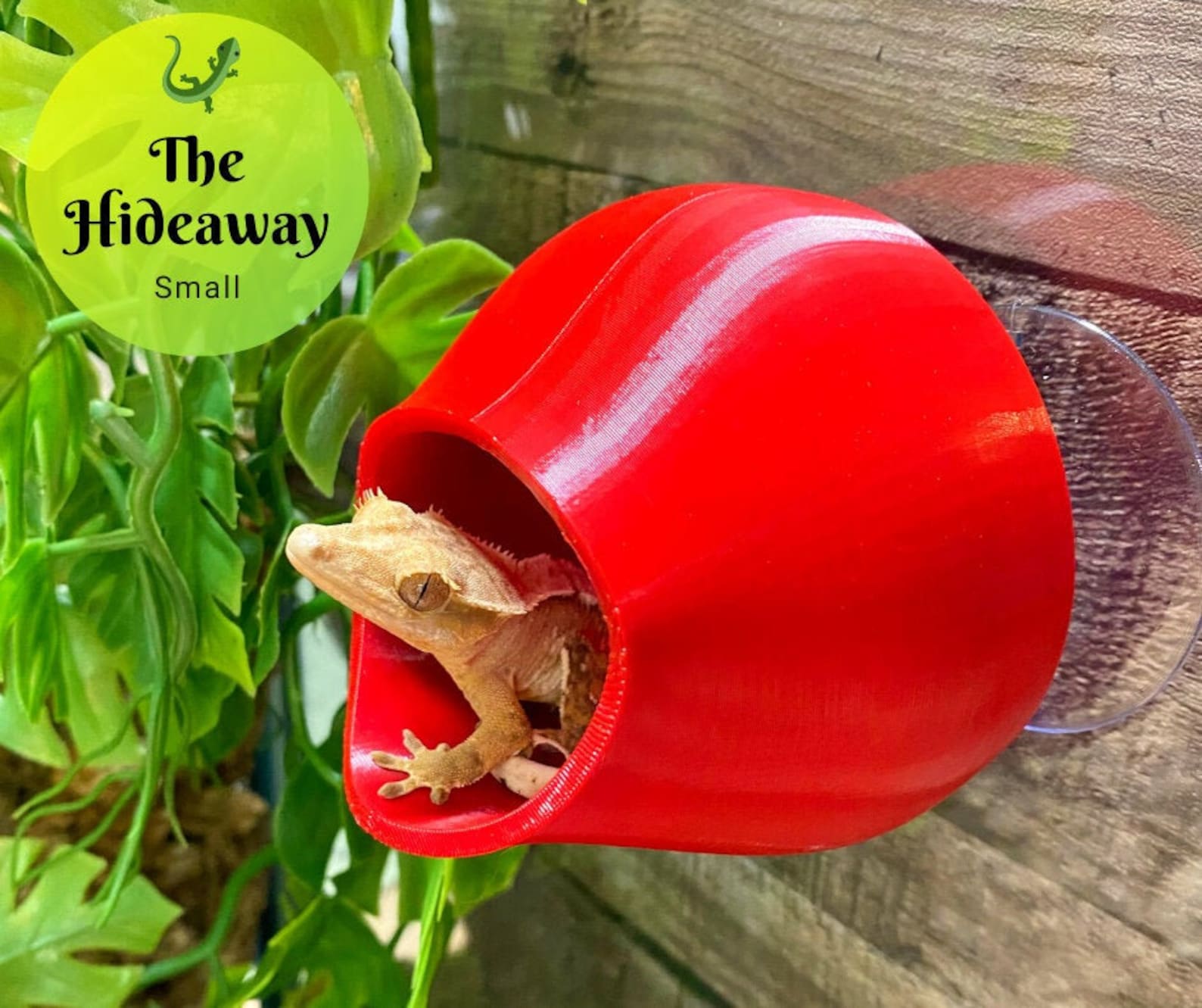 The Hideaway Small Gecko Reptile Hide 3D Printed | Etsy