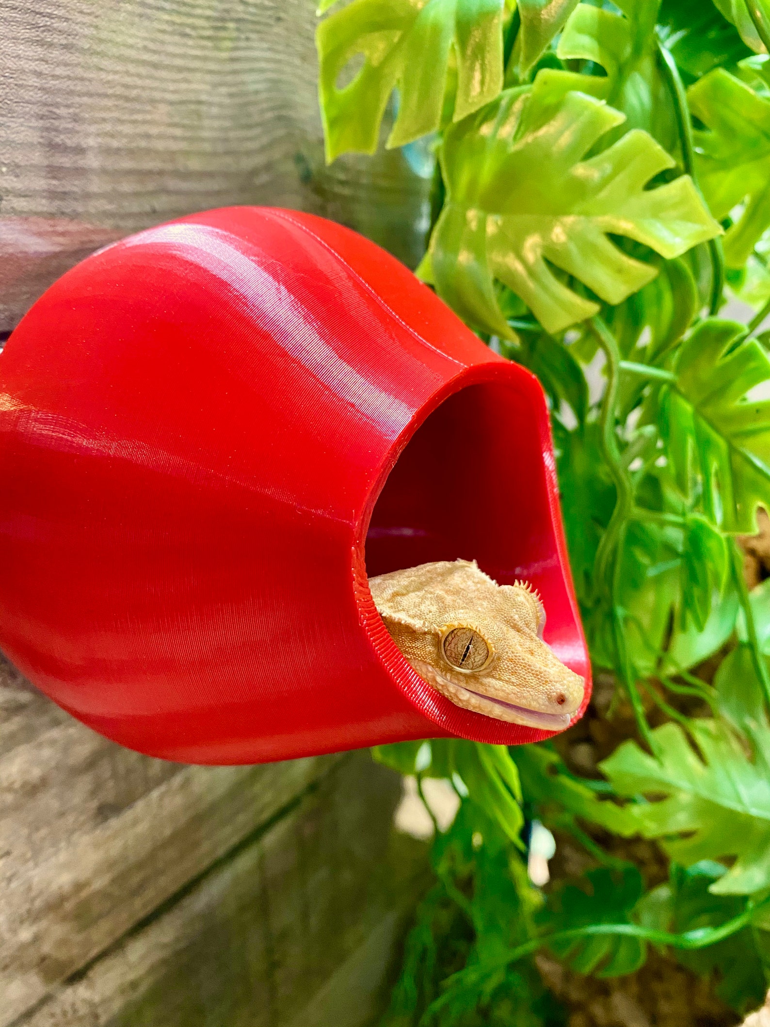 The Hideaway medium Gecko Reptile Hide 3D Printed - Etsy