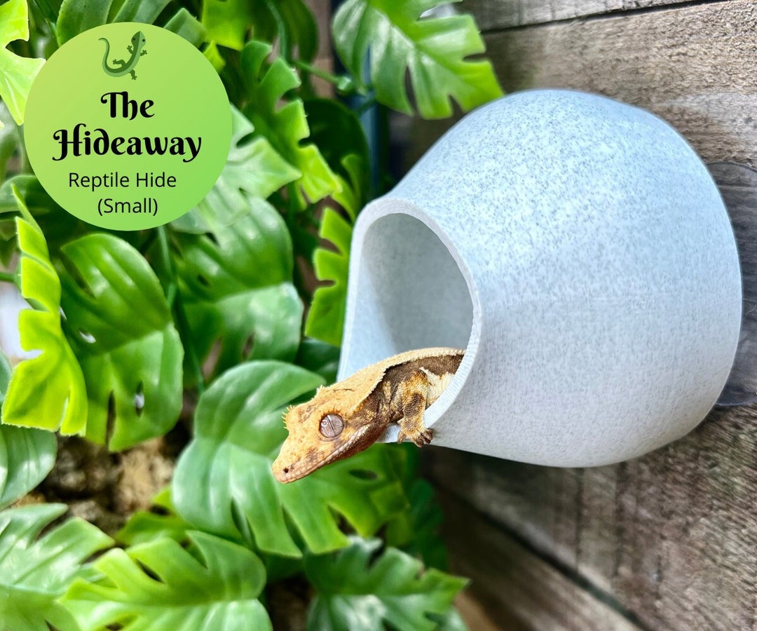 The Hideaway (small) - Gecko Reptile Hide - 3D Printed - Laguna ...