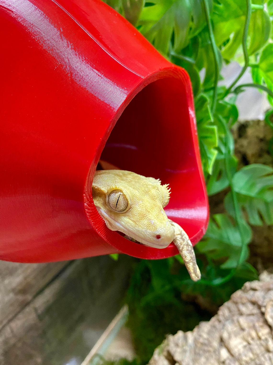 The Hideaway Large Gecko Reptile Hide 3D Printed | Etsy