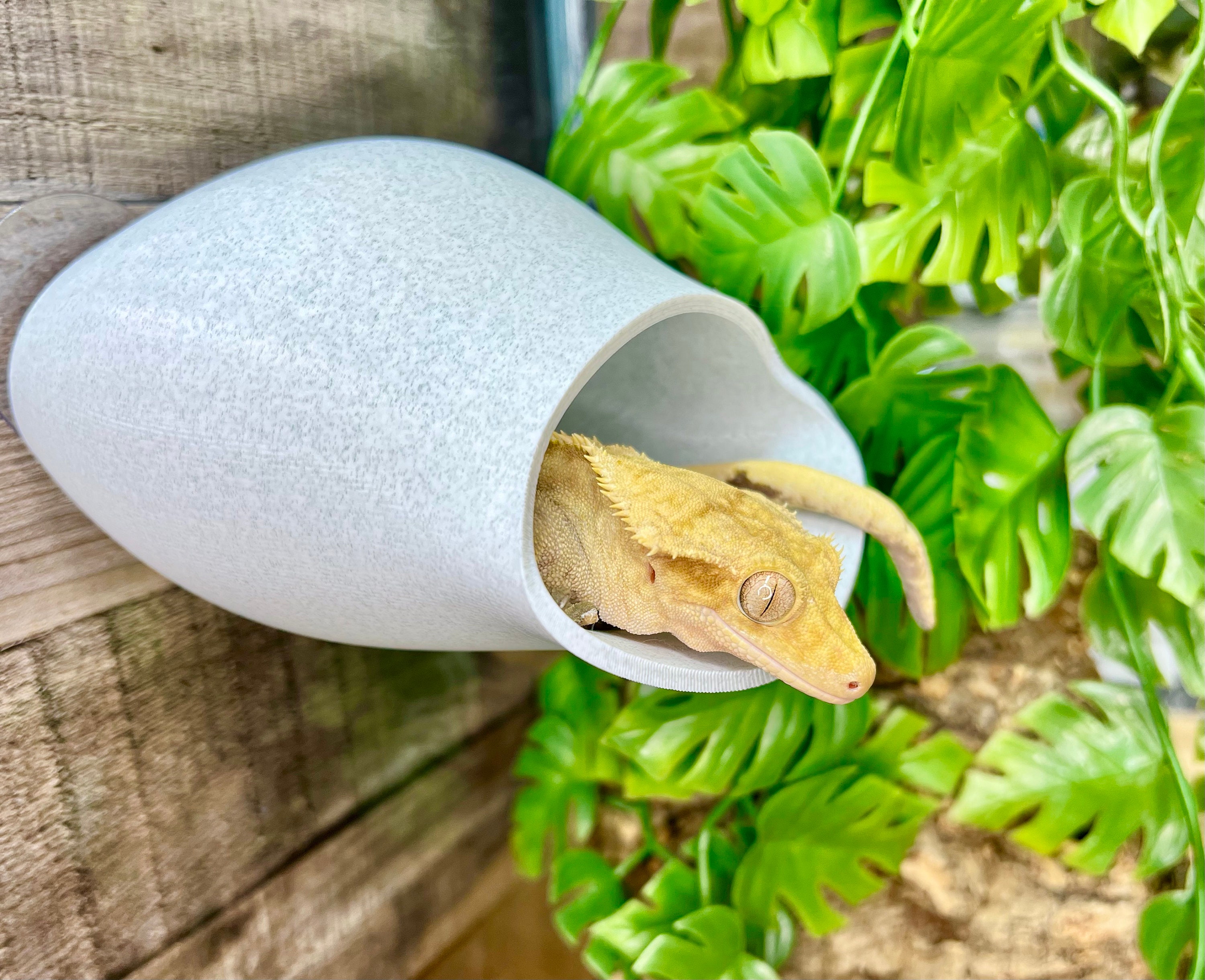 Hidey-hole medium Gecko Reptile Hide 3D Printed Laguna - Etsy