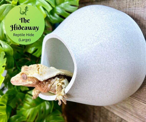 The Hideaway large Gecko Reptile Hide 3D Printed - Etsy