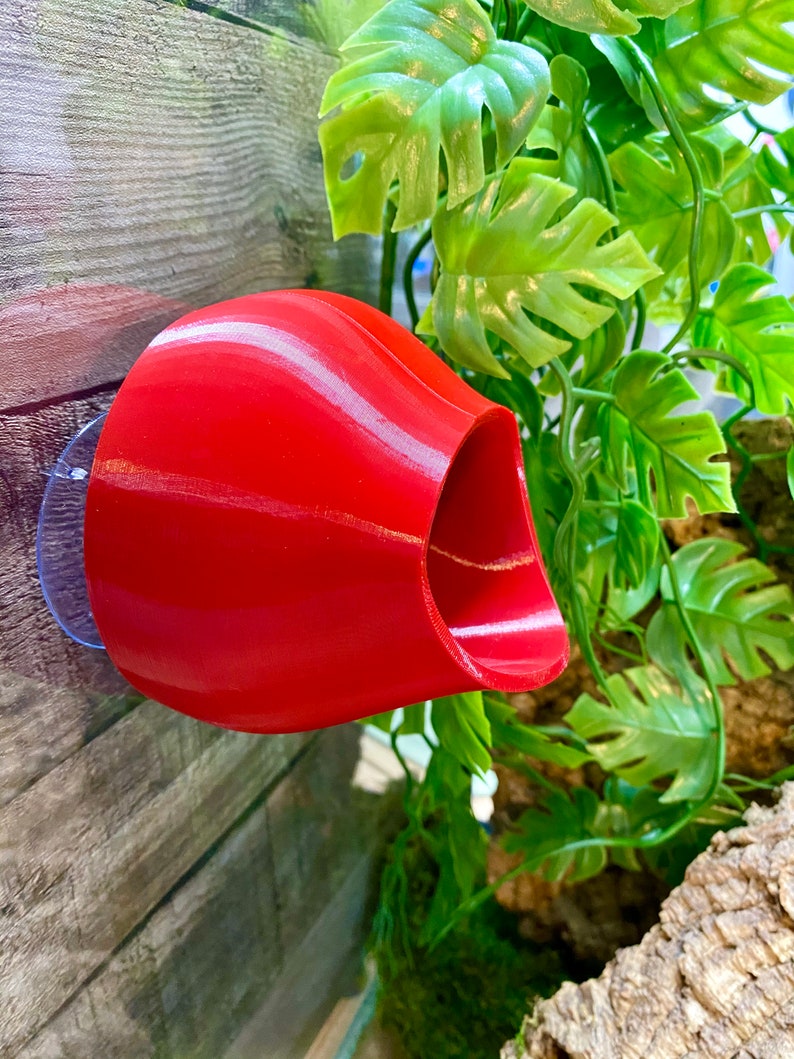 The Hideaway medium Gecko Reptile Hide 3D Printed - Etsy