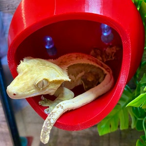 The Hideaway (large) - Gecko Reptile Hide - 3D Printed - Laguna ...